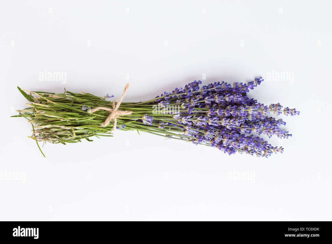Lavender flowers isolated on white background Stock Photo - Alamy