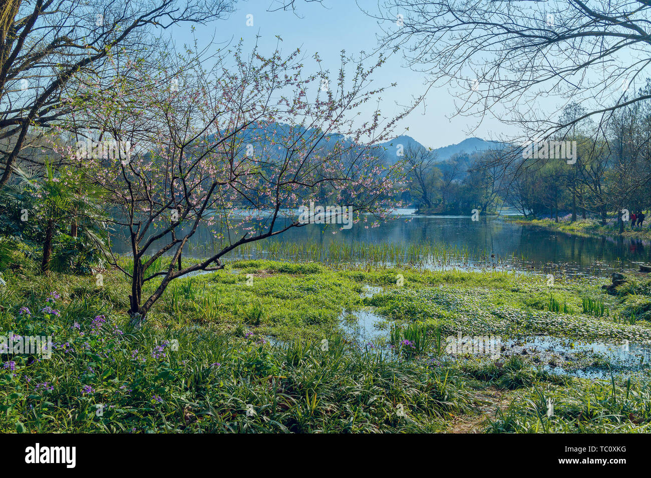 Prince Prince Bay Park, Hangzhou Stock Photo - Alamy