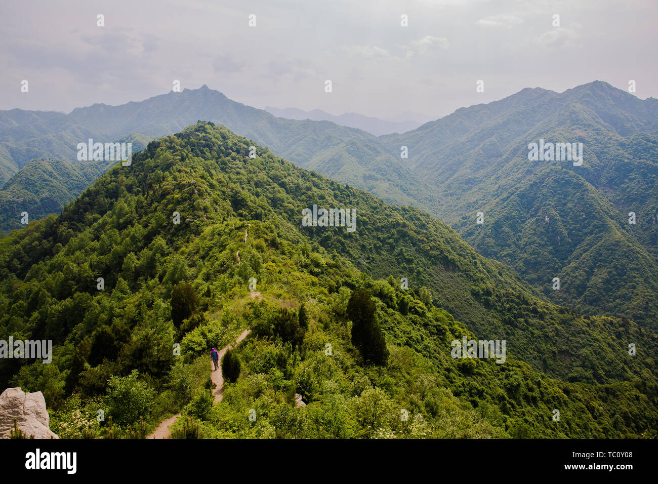 Meridian valley road Stock Photo - Alamy