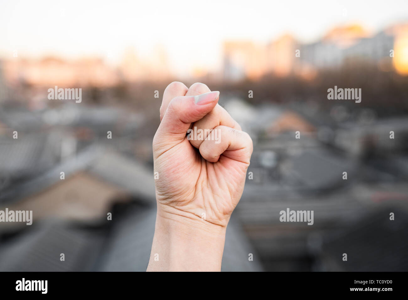 Hold the fist hand, make up your mind, fight and win, struggle and ...