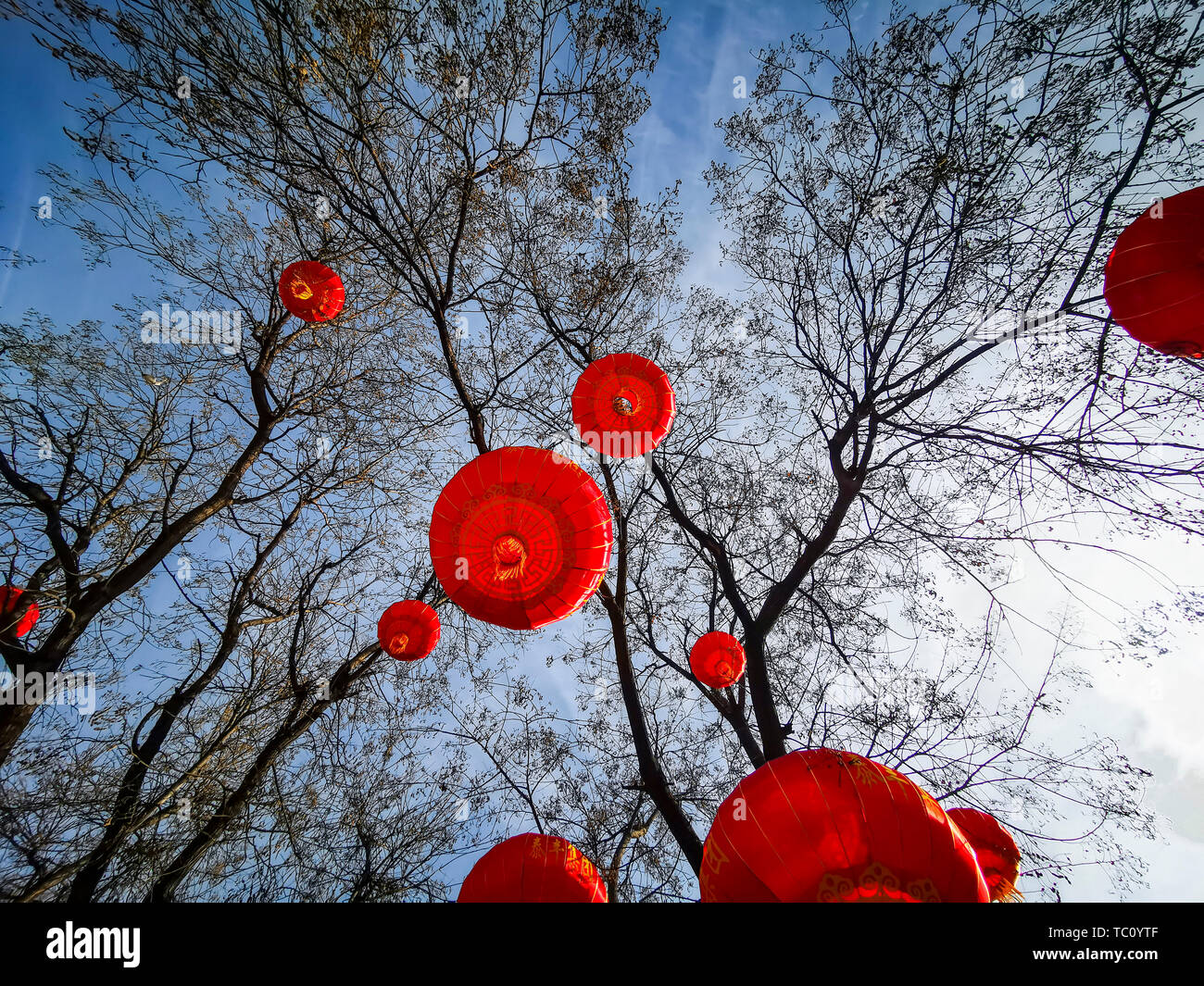 Red lanterns hanging high Stock Photo - Alamy