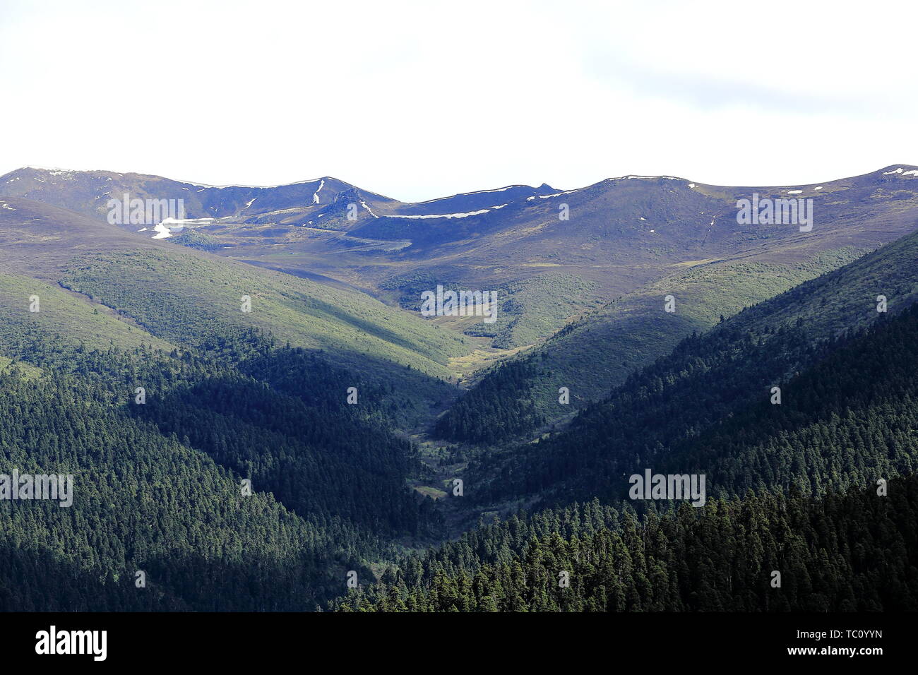 Scenery of Yingzhi Lulang Linhai in Tibet Autonomous Region Stock Photo ...