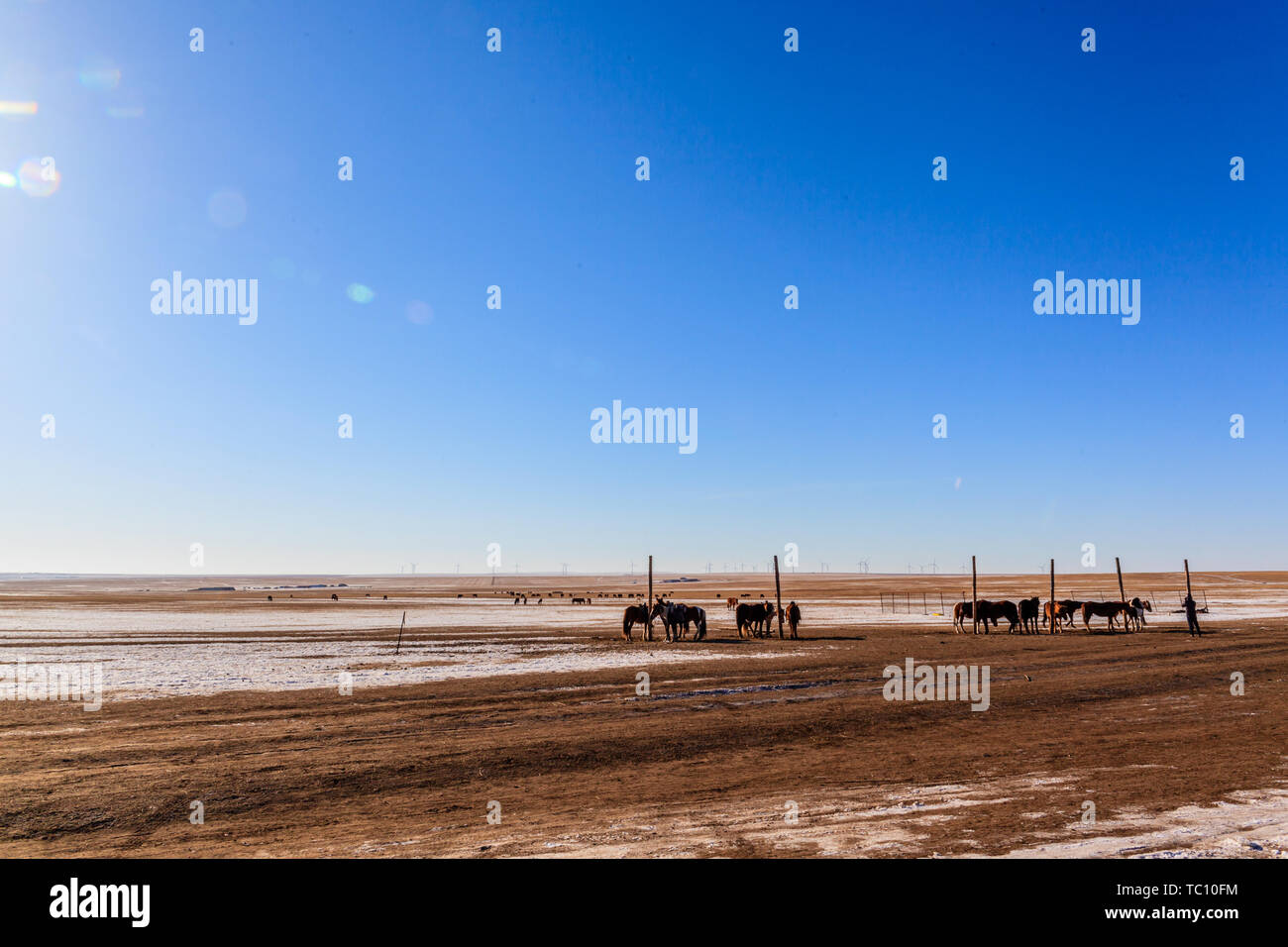 Hailar prairie tribe Stock Photo - Alamy
