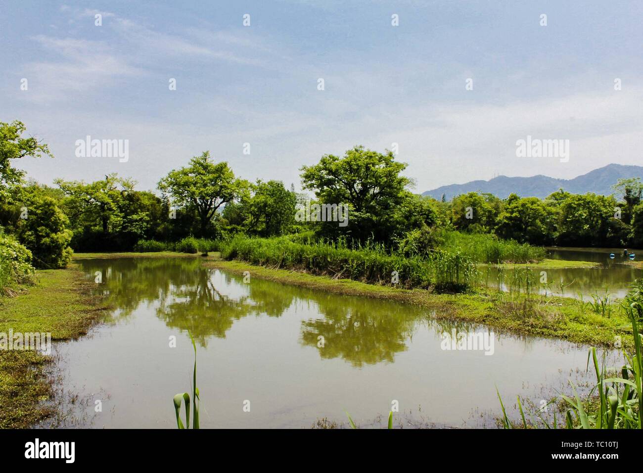 Scenery of Xixi Wetland Park in Hangzhou Stock Photo - Alamy