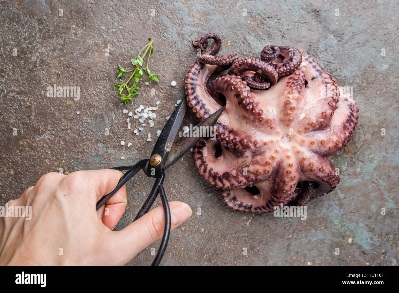 Boiled fresh octopus Stock Photo - Alamy