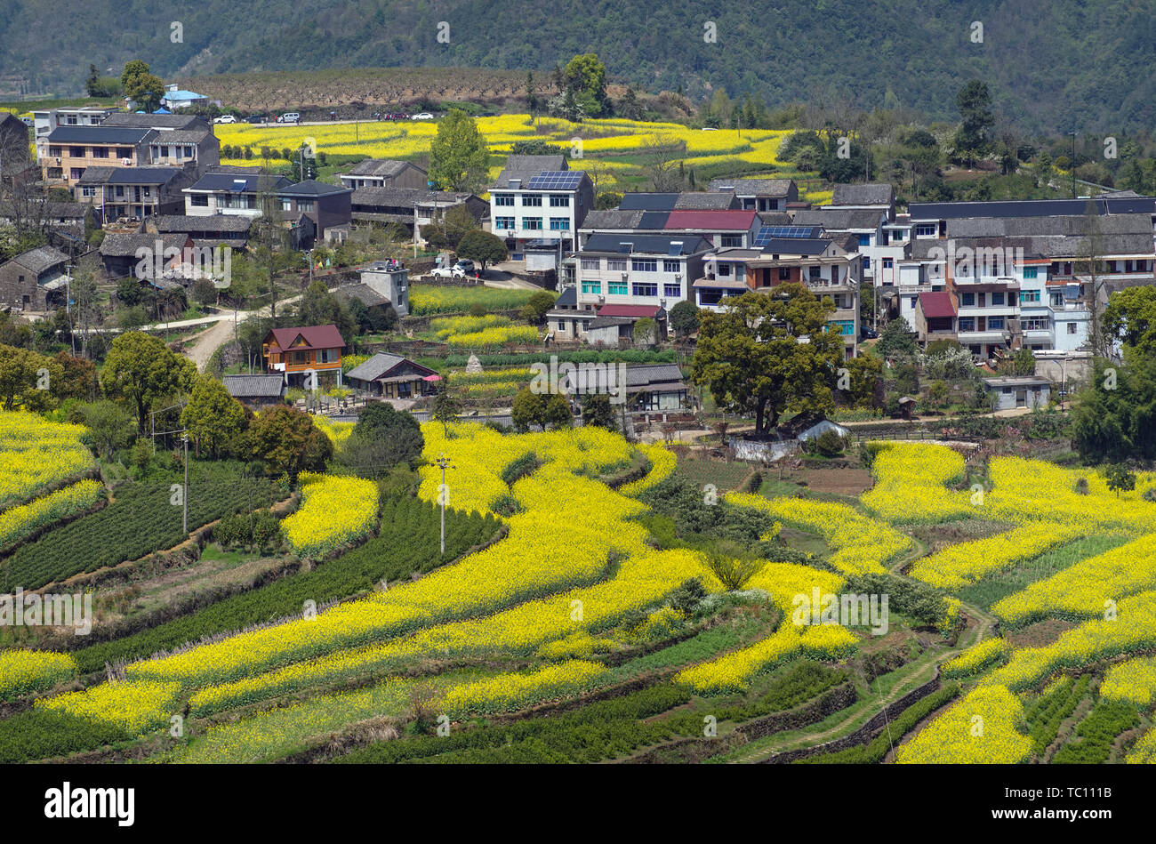 Ninghai hi-res stock photography and images - Alamy