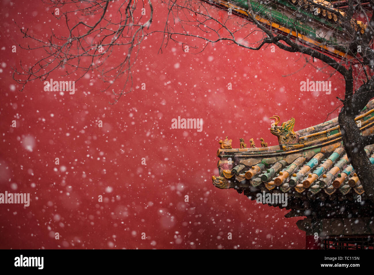 Snow view of the Forbidden City in Beijing Stock Photo - Alamy