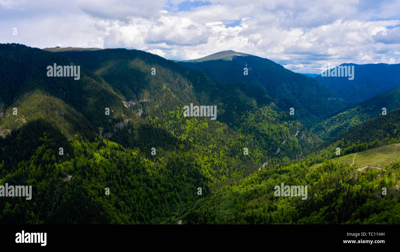 Mountain forest green canopies hi-res stock photography and images - Alamy