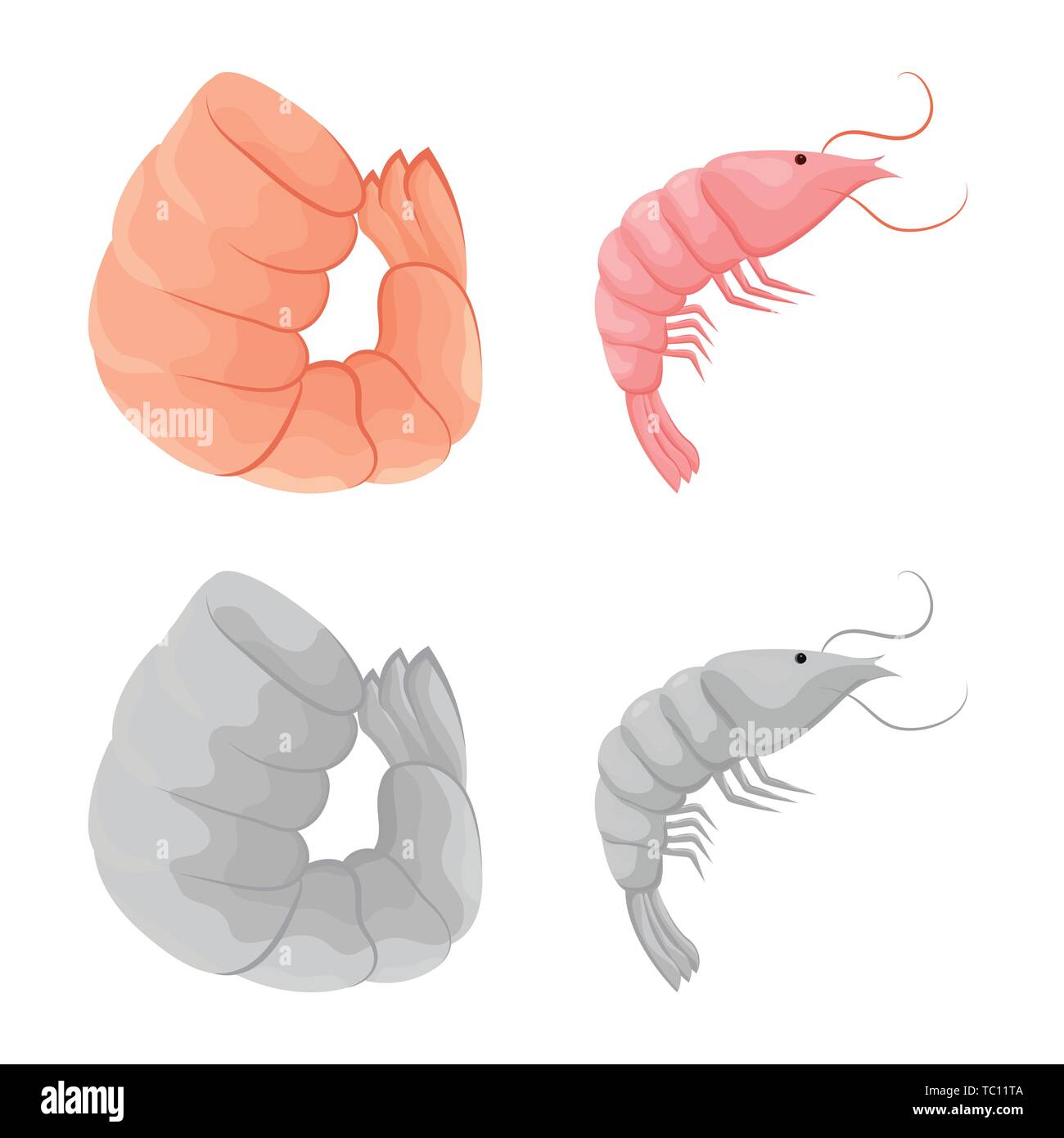 prawn,raw,cooked,luxury,underwater,atlantic,happy,fresh,aquatic ...