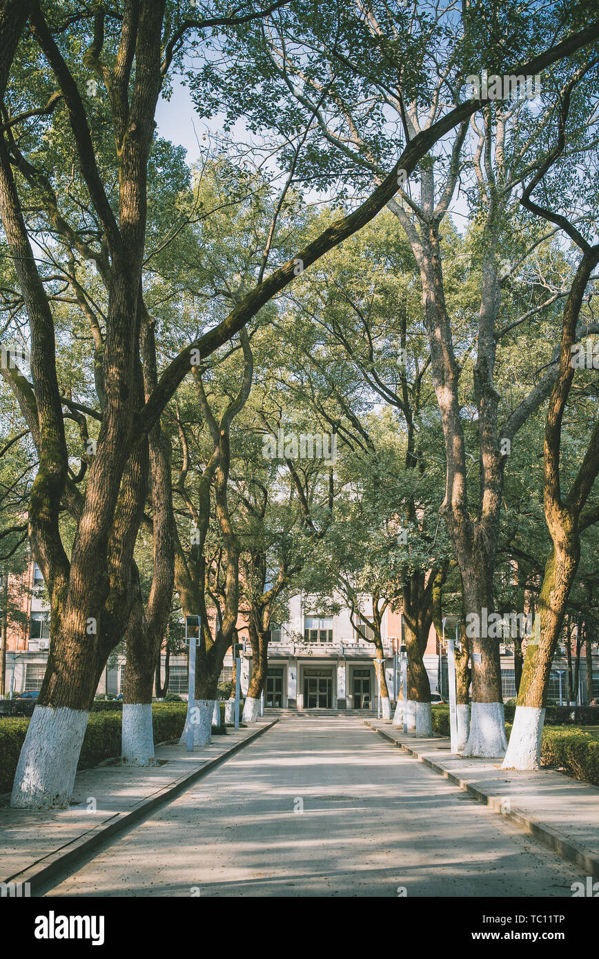 Shaoyang hi-res stock photography and images - Alamy