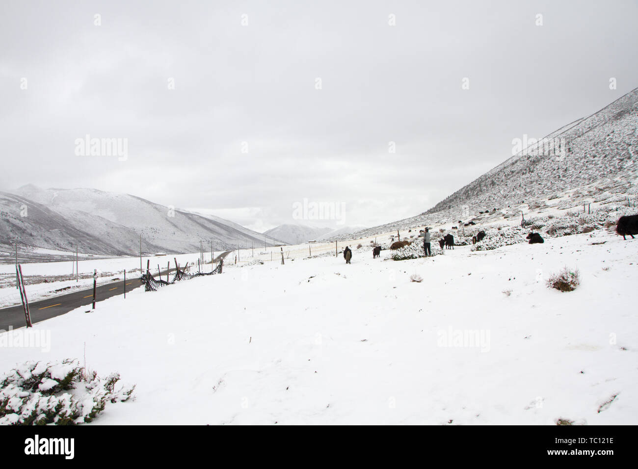 Snow Mountain in western Sichuan Stock Photo - Alamy