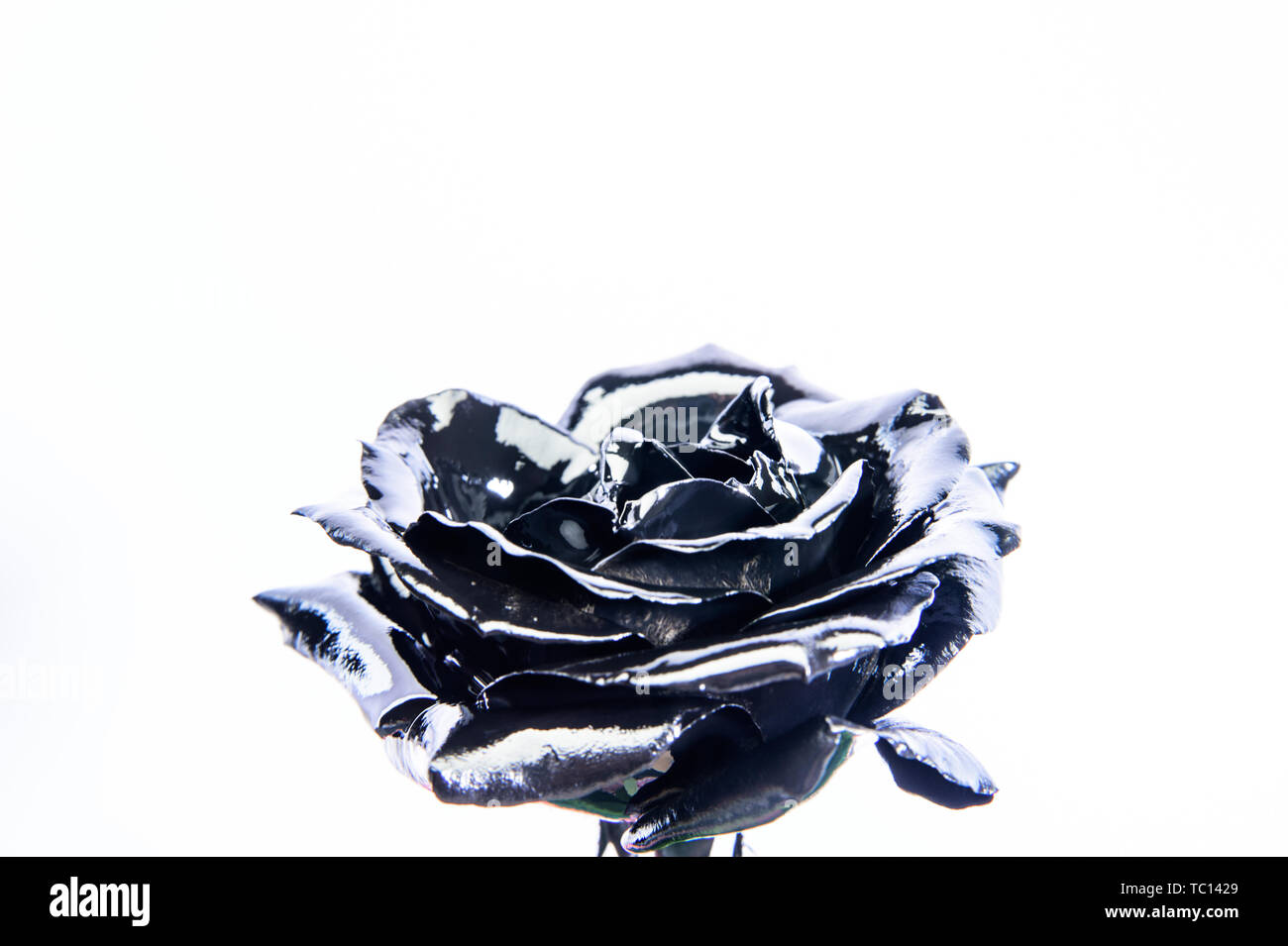 Forging and sculpture. Beautiful black silver flower. Floral shop ...