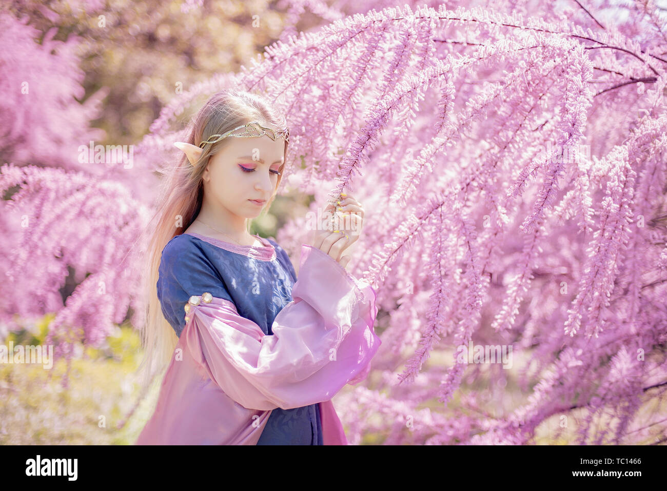 fairy tale girl. Portrait of mystic elf girl. Cosplay character ...