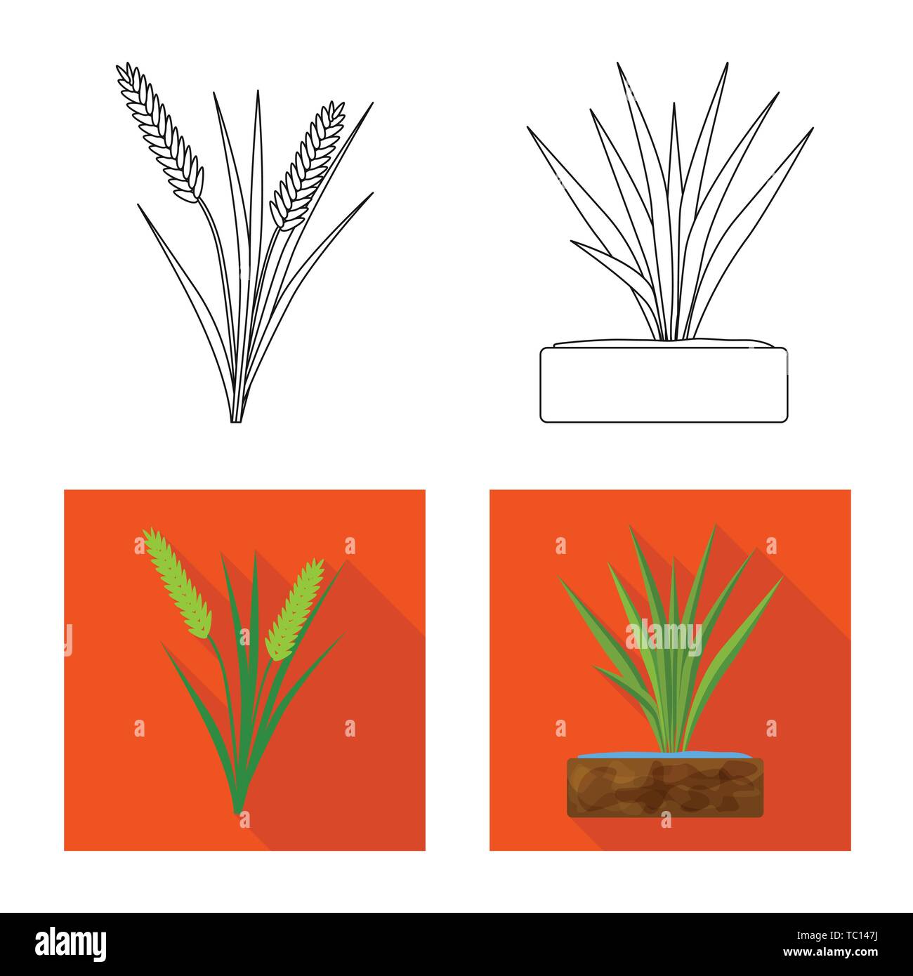 Grain panicle rice leaf Stock Vector Images - Alamy