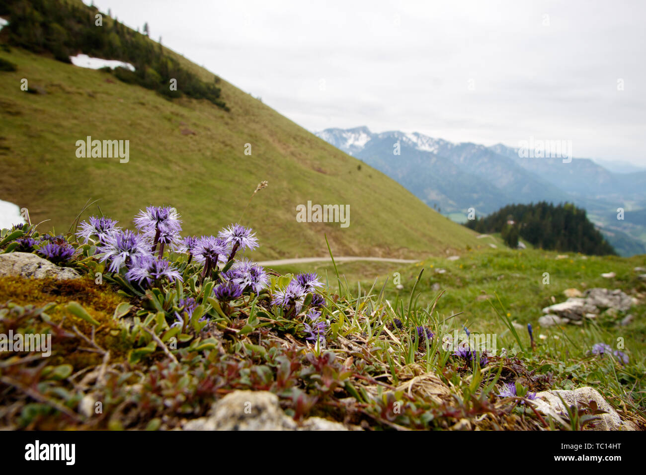 Mountain Breitenstein bavaria Stock Photo - Alamy