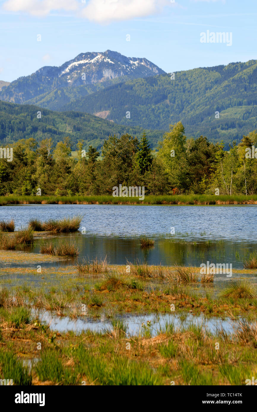 The beautiful moor in Nicklheim Stock Photo - Alamy