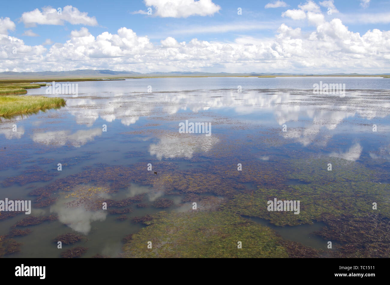 Hua aba prefecture hi-res stock photography and images - Alamy