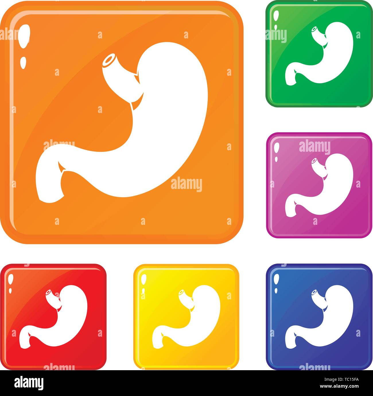 Stomach icons set vector color Stock Vector Image & Art - Alamy