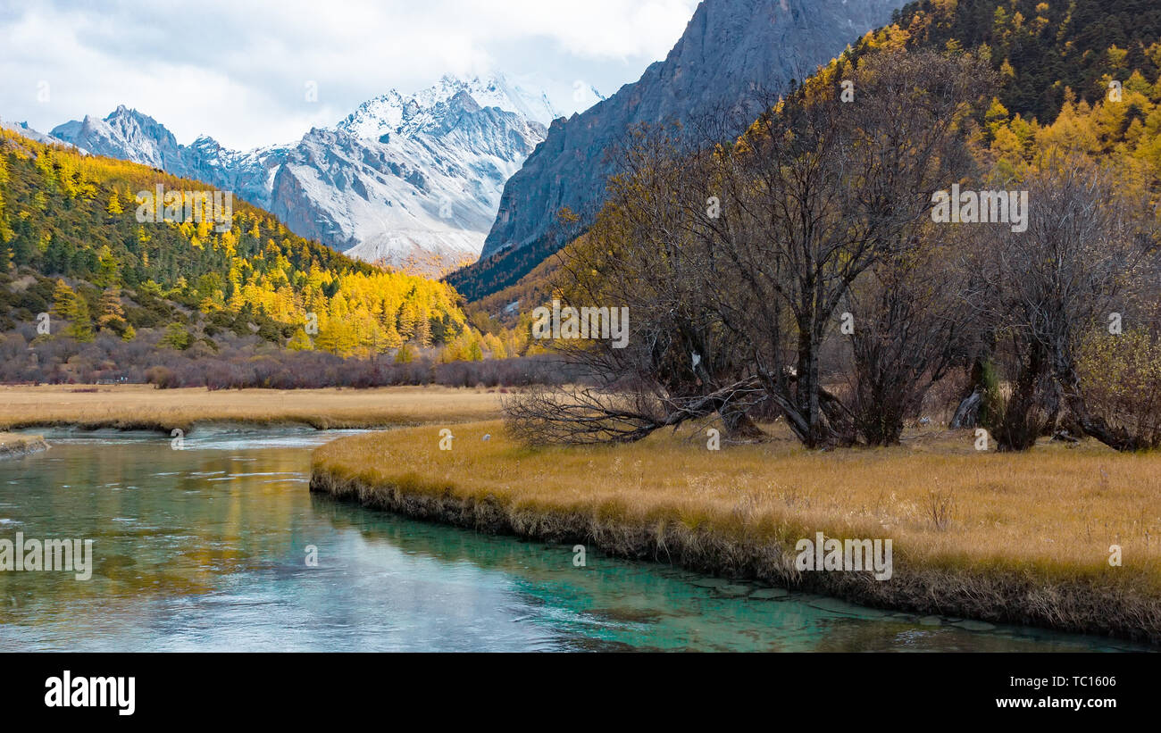 Rice city Aden autumn color Stock Photo - Alamy
