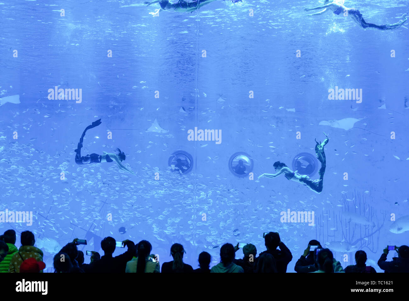 Mermaid performance at Haichang Ocean Park, Shanghai Stock Photo - Alamy