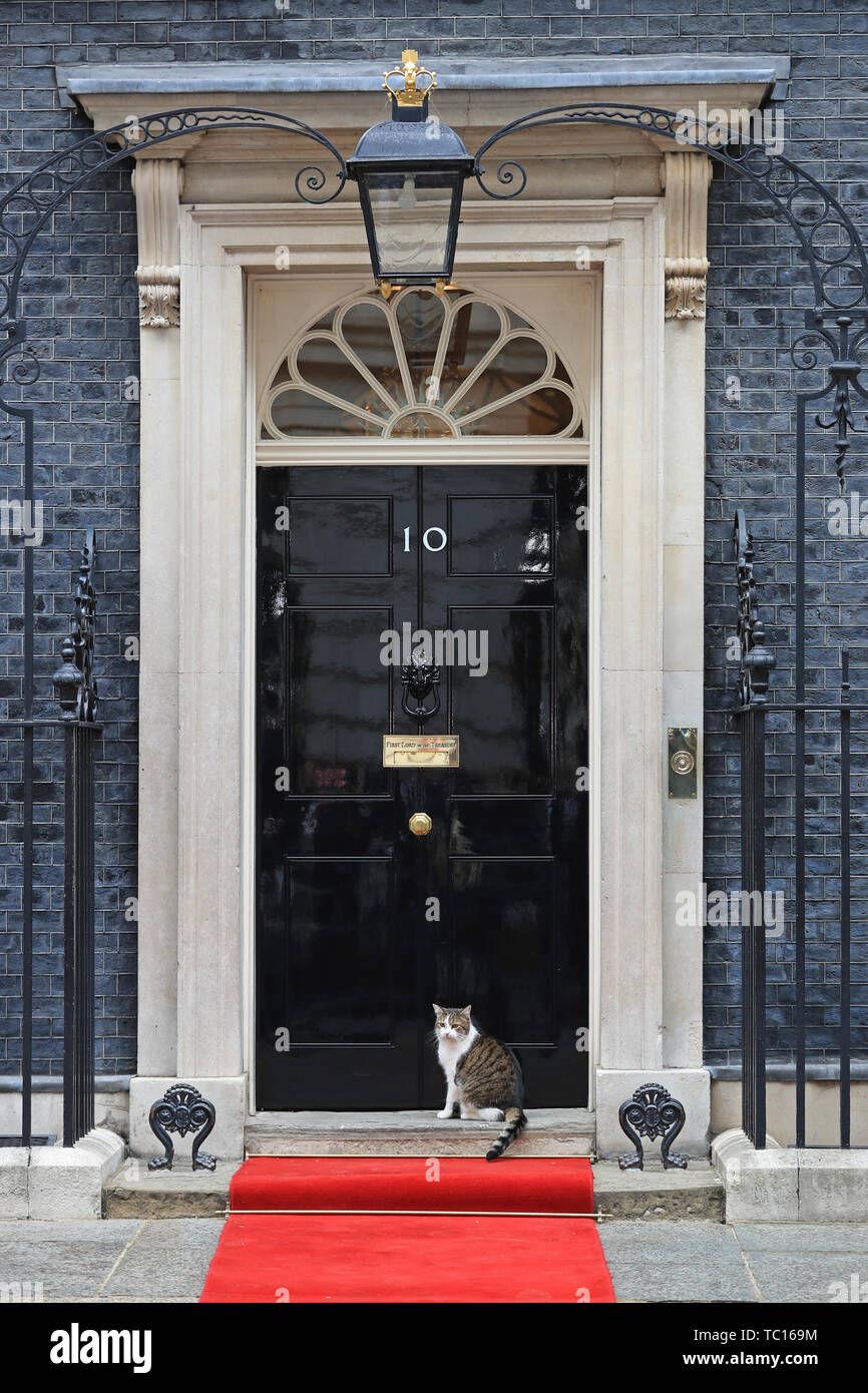 Larry the cat in Downing Street, London, as Prime Minister Theresa May ...