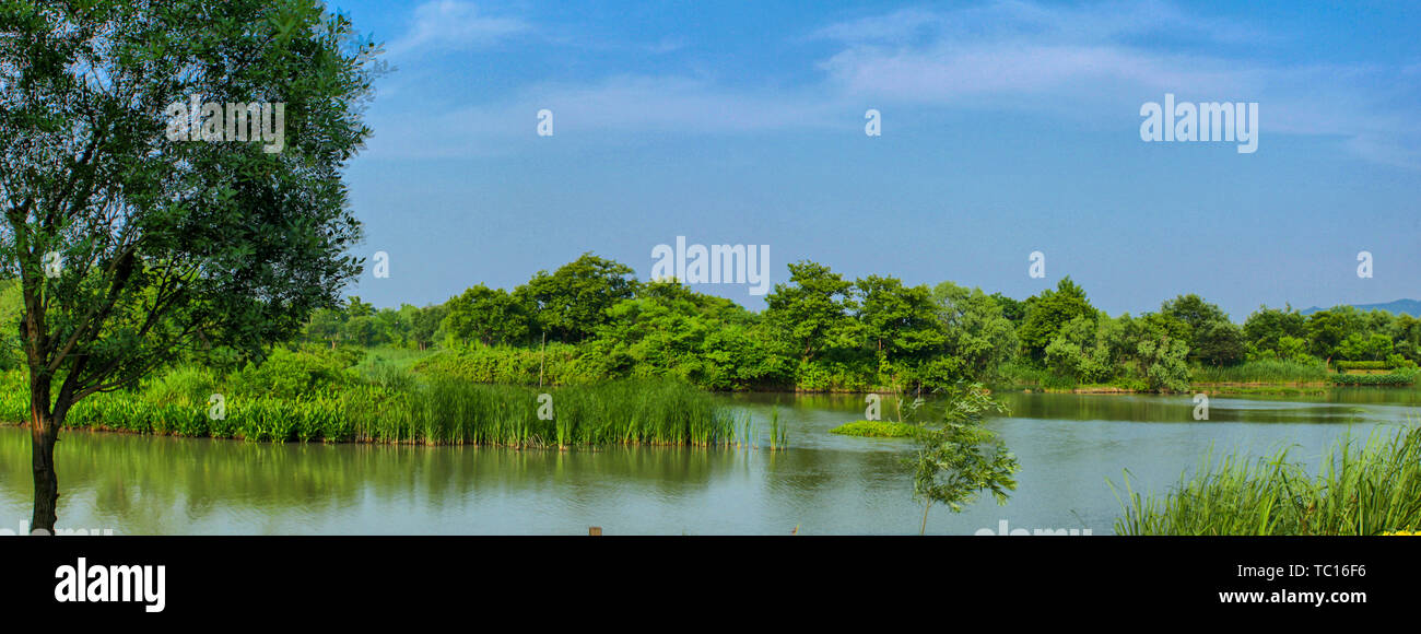 Panorama of Xixi Wetland Park in Hangzhou Stock Photo - Alamy