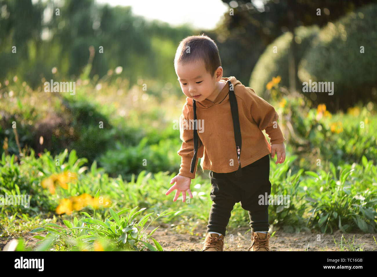 Little boy in the bushes Stock Photo - Alamy