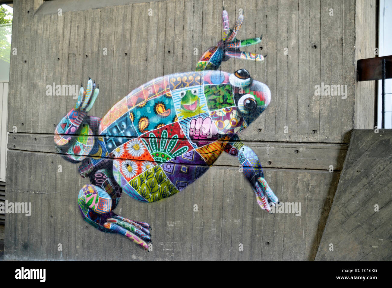 Lake Oku Clawed Frog. 'Wild Walls' by Louis Masal, painted in 2018 to ...