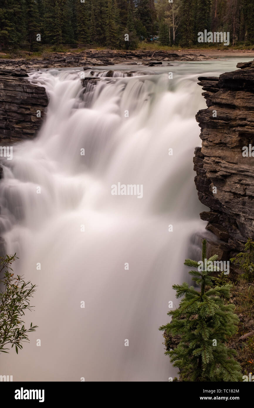 A portrait view of the mighty Athabasca Waterfall in Banff National ...