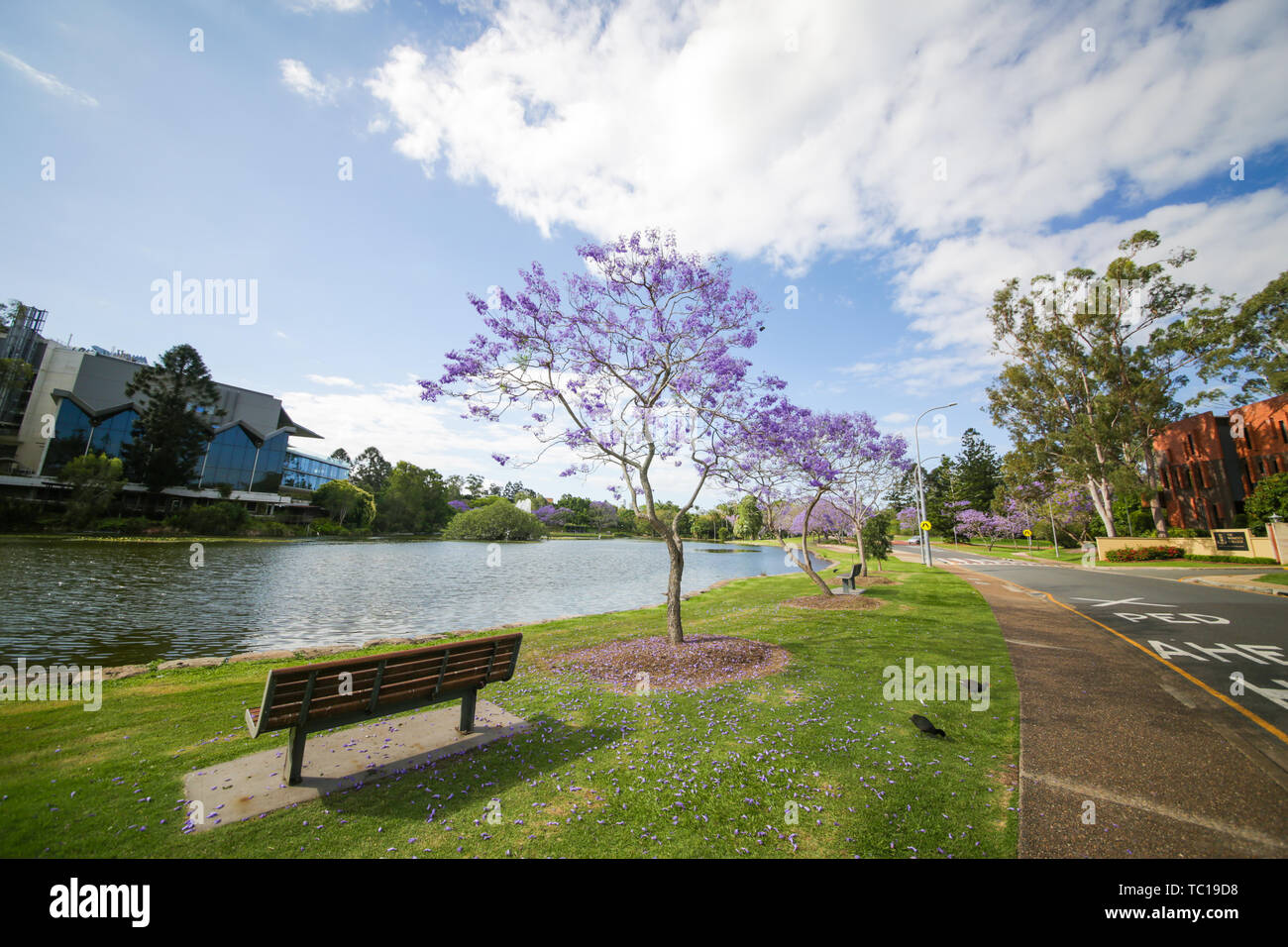 Queensland campus hi-res stock photography and images - Alamy
