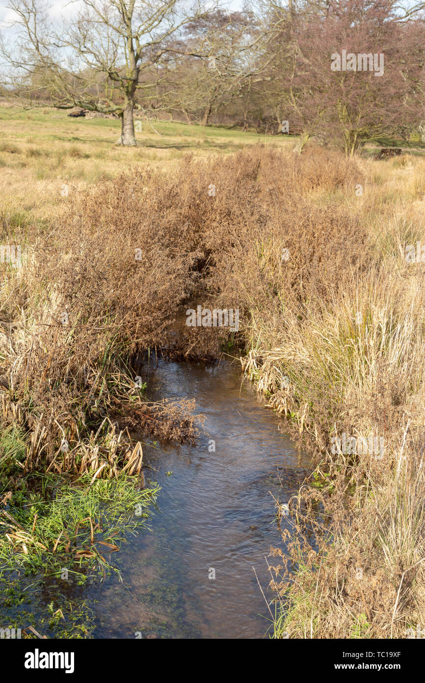 The natural water cycle hi-res stock photography and images - Alamy