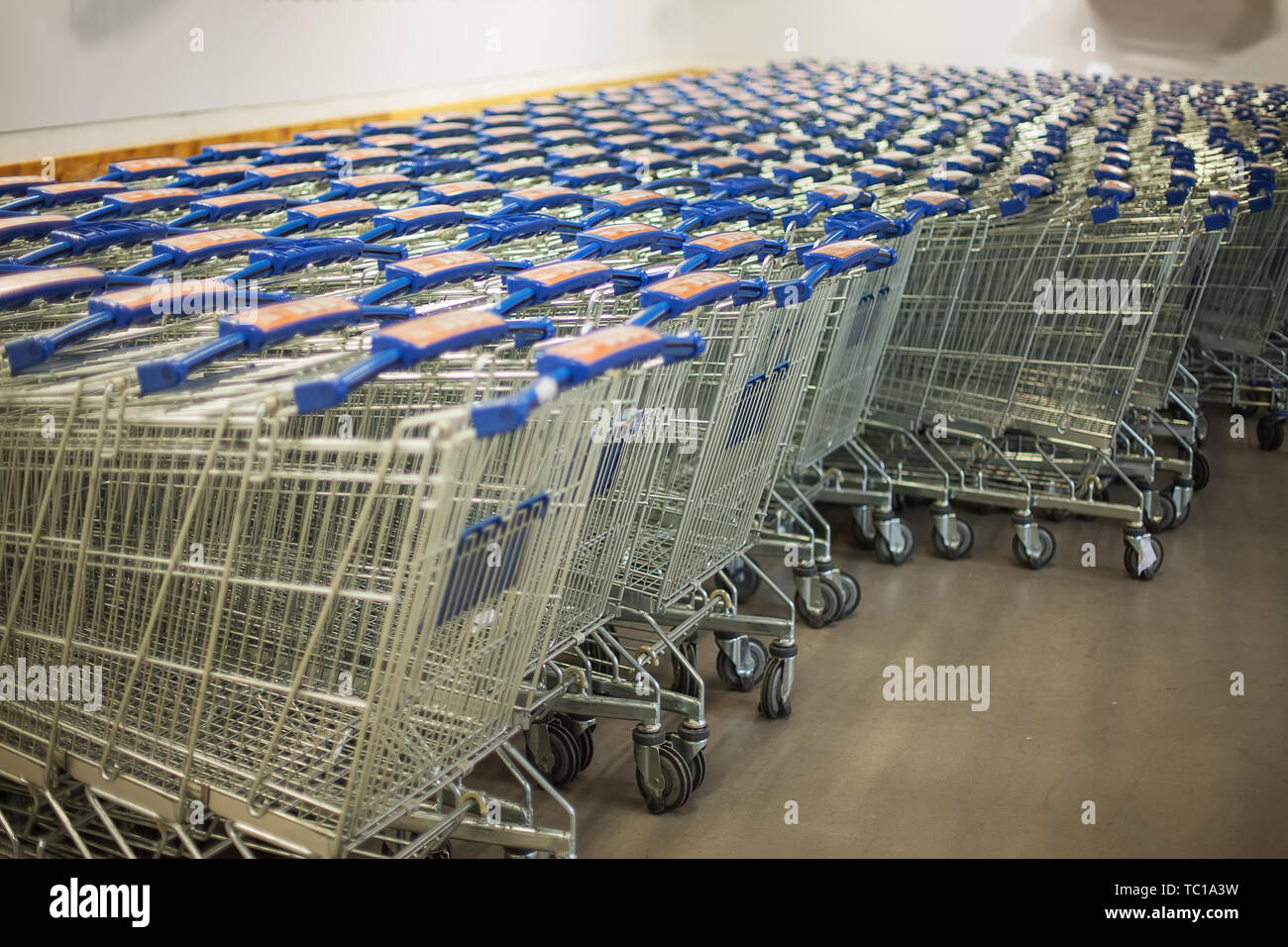 There's a lot of shopping carts in the supermarket Stock Photo - Alamy