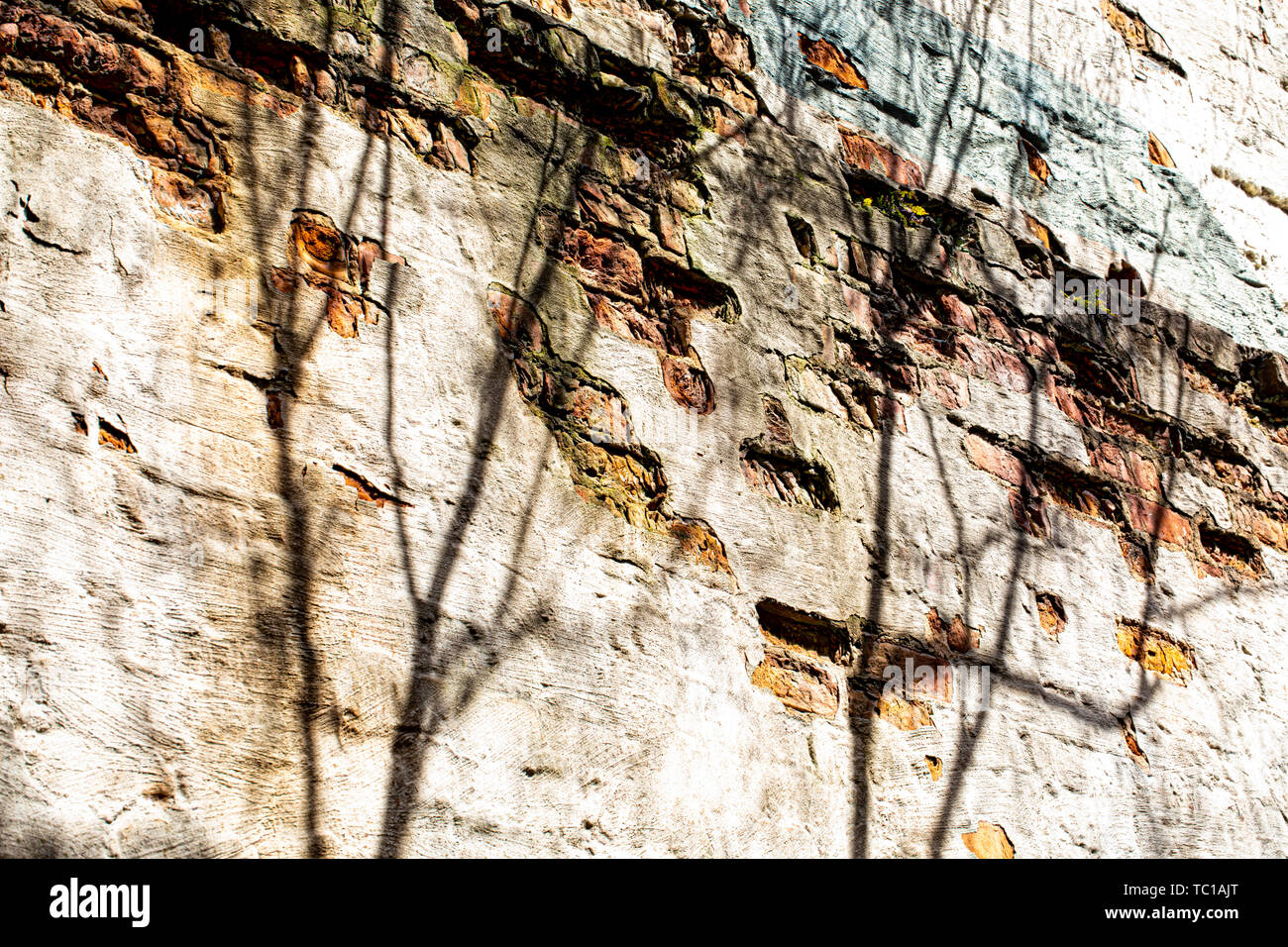 Old building wall with pale colors and shadows Stock Photo - Alamy