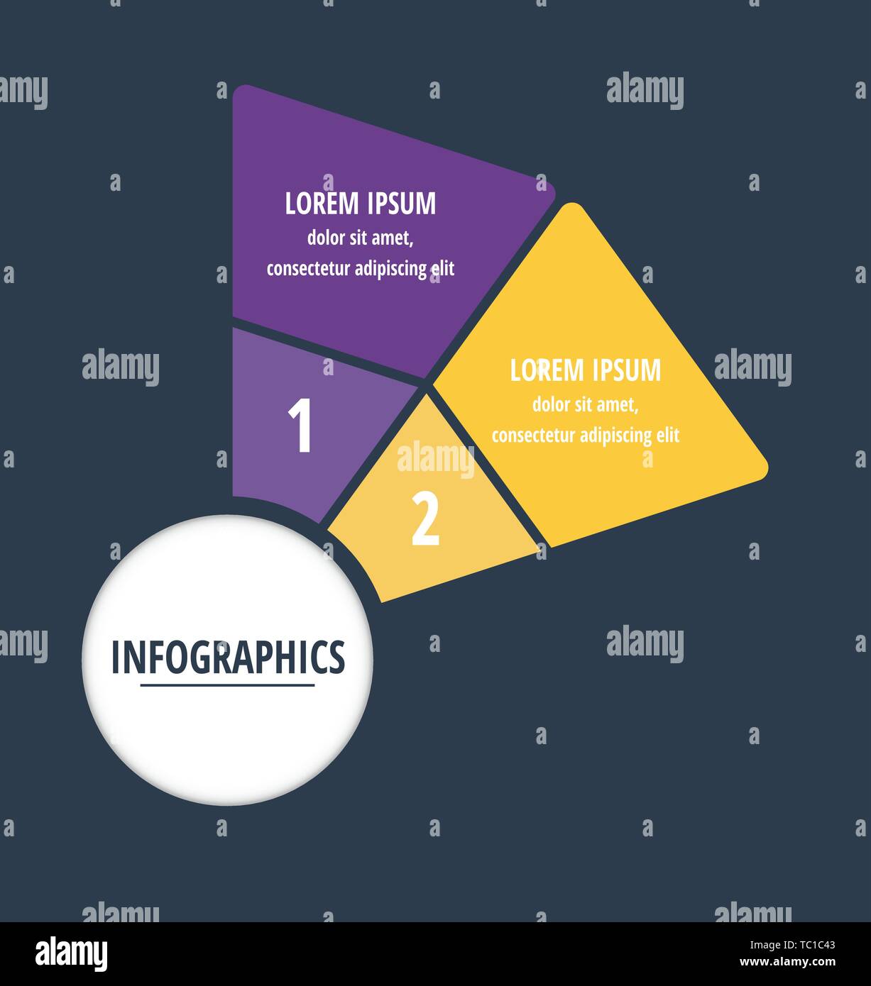 Vector infographic flat template sectors for two label, diagram, graph ...