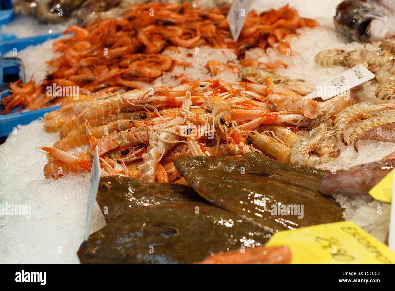 Open display with crustaceans and assorted seafood at fish market Stock ...