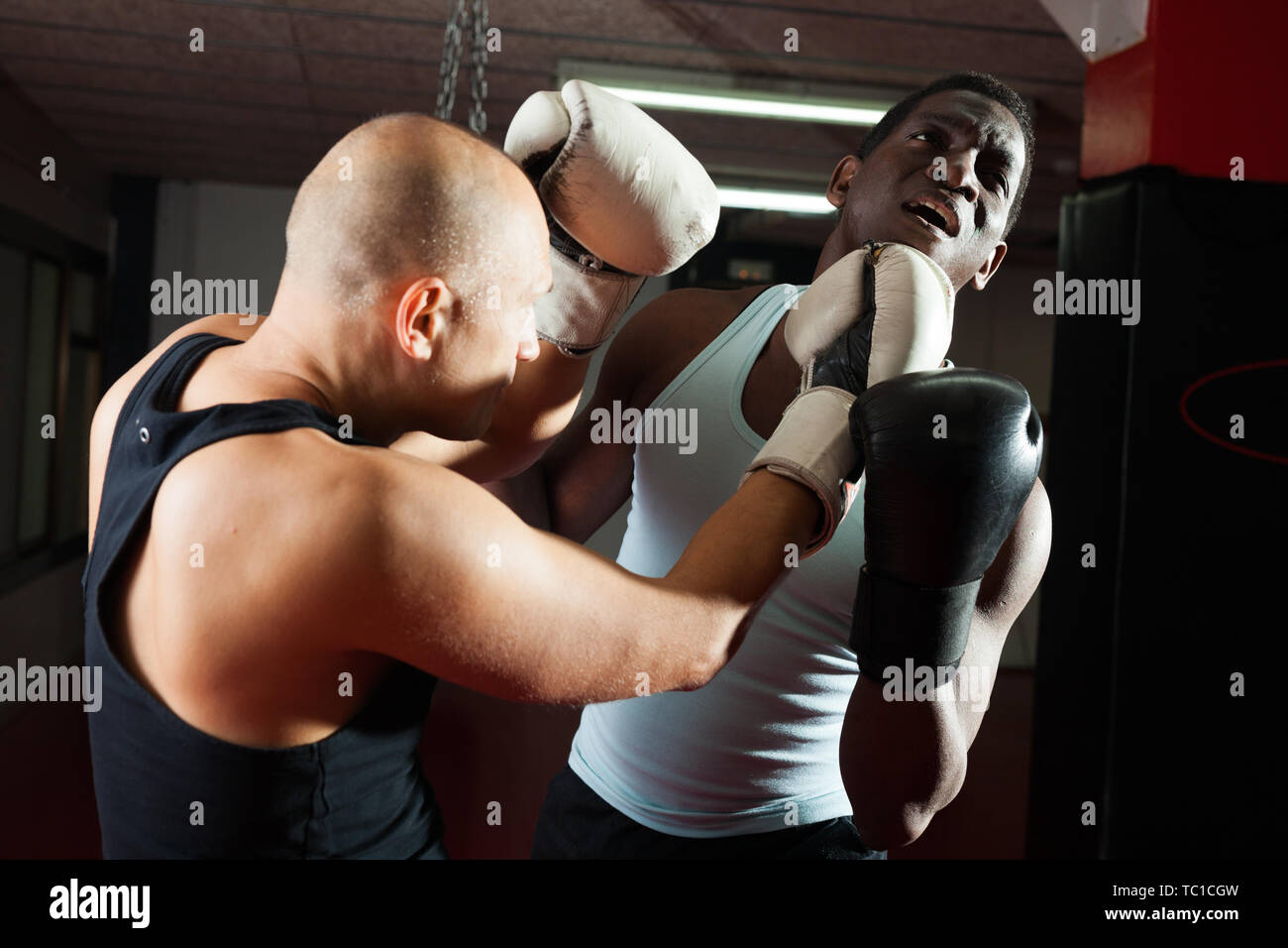 Sparring two boxers in the gym. Battle of two boxers Stock Photo - Alamy