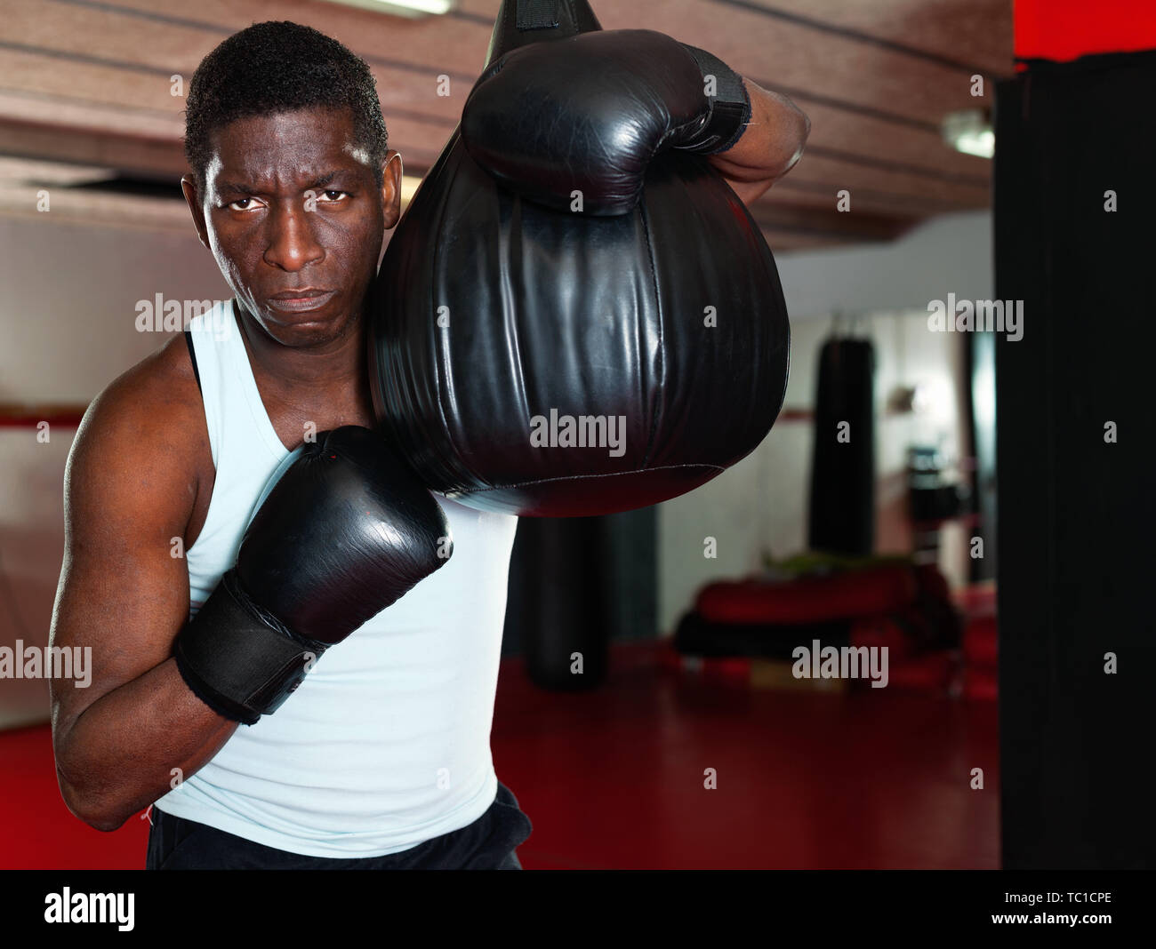 Potrait of glad cheerful positive african american boxer who is ...