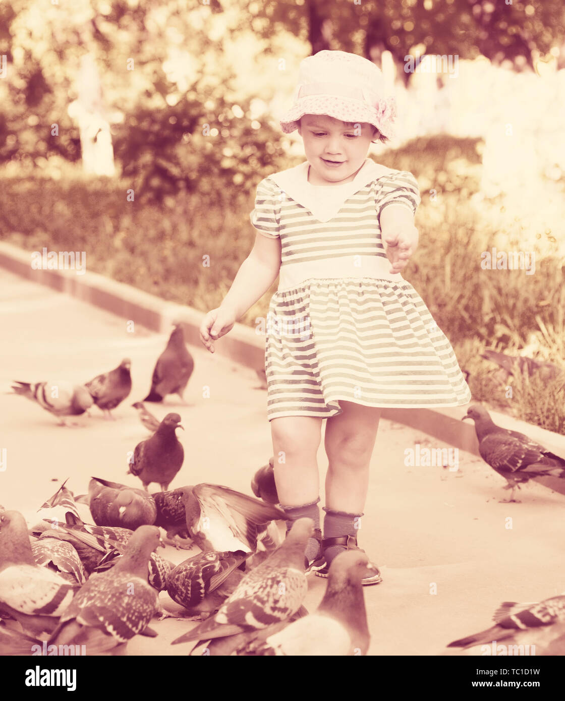 Happy two-year girl feeding doves in the city street Stock Photo - Alamy