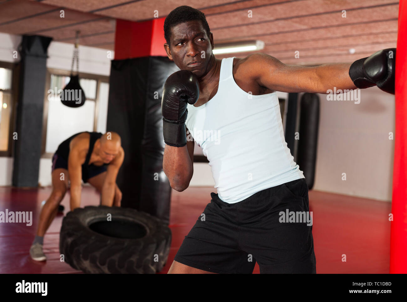 Training of muscular boxers in the gym Stock Photo - Alamy