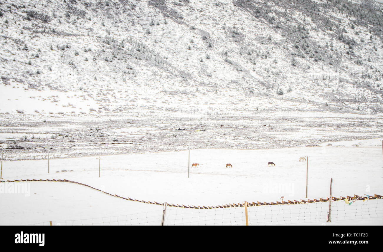 Snow Mountain in western Sichuan Stock Photo - Alamy