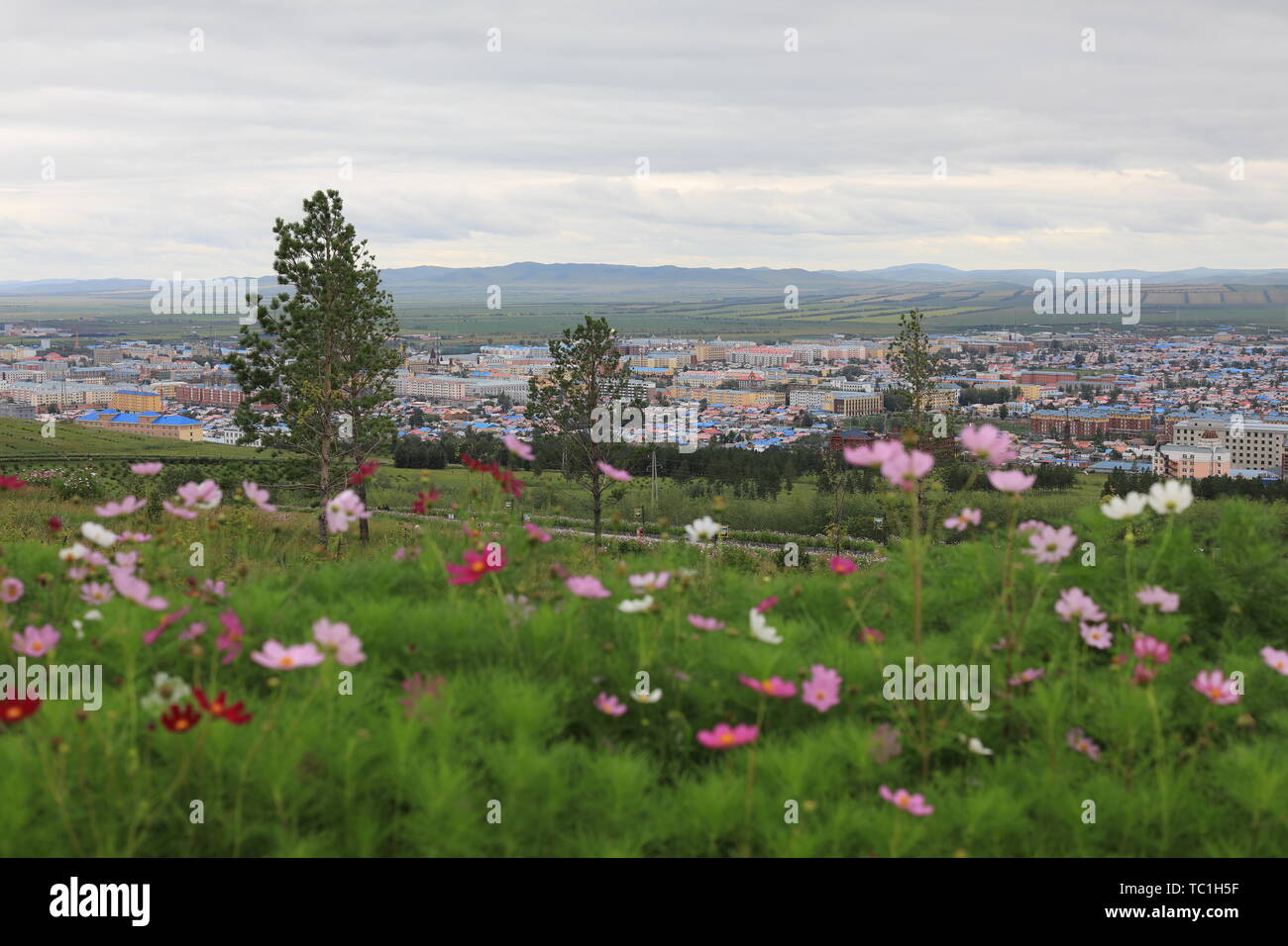 Erguna scenery and scenery hi-res stock photography and images - Alamy