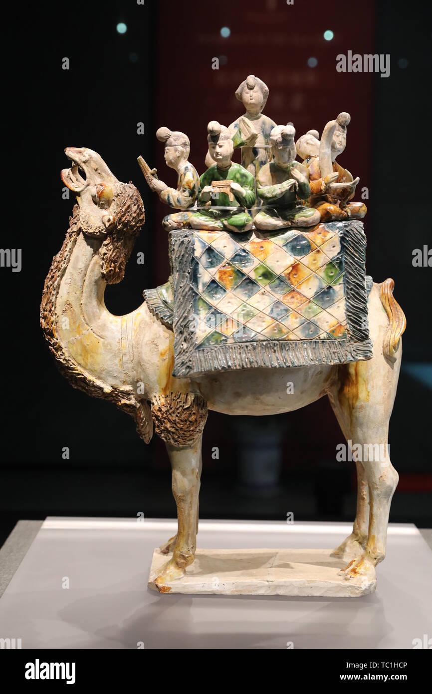 Shaanxi Museum Tang three-color camel Stock Photo - Alamy