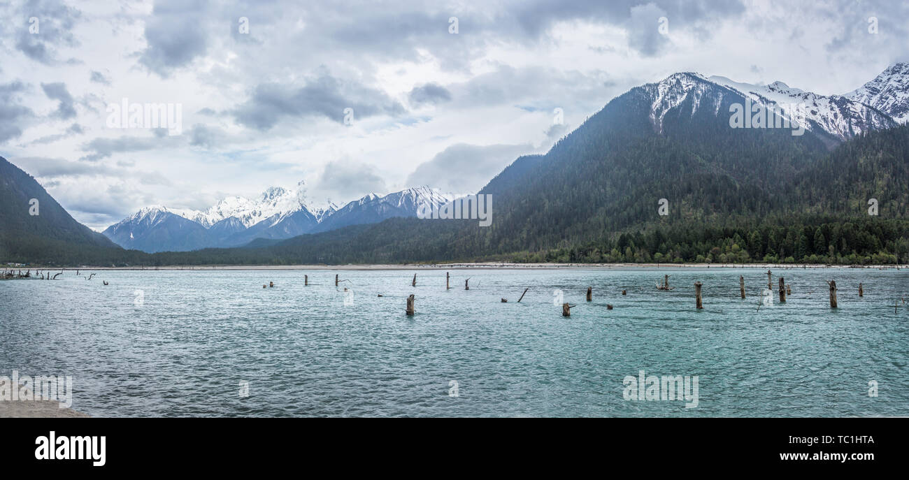 Natural scenery of Lingzhi Glacier Lake, Tibet, China Stock Photo - Alamy