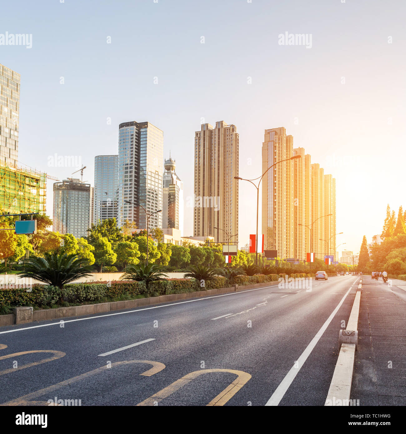 Empty Street Morning