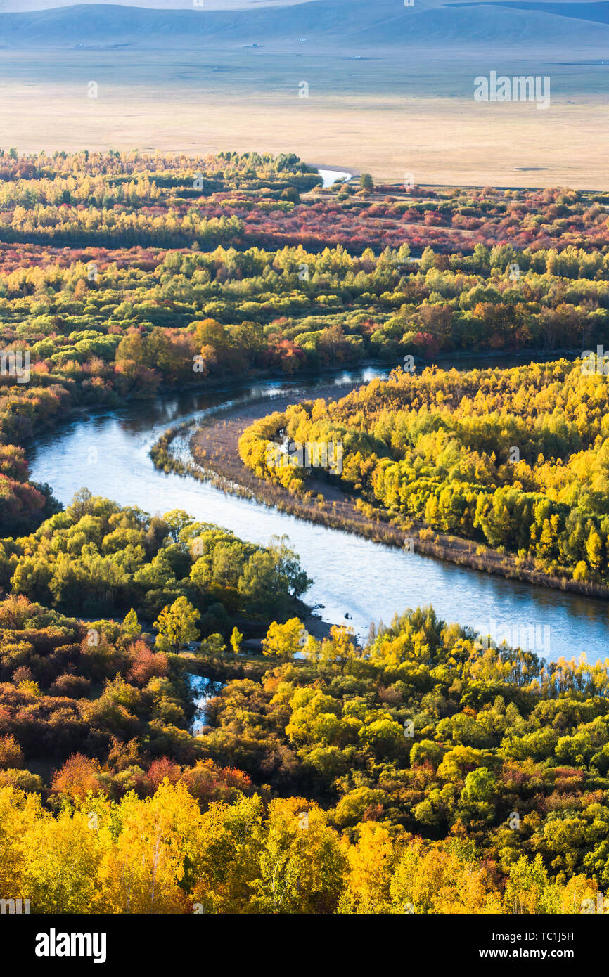 Erguna Wetland is known as the largest wetland in Asia, a golden and ...