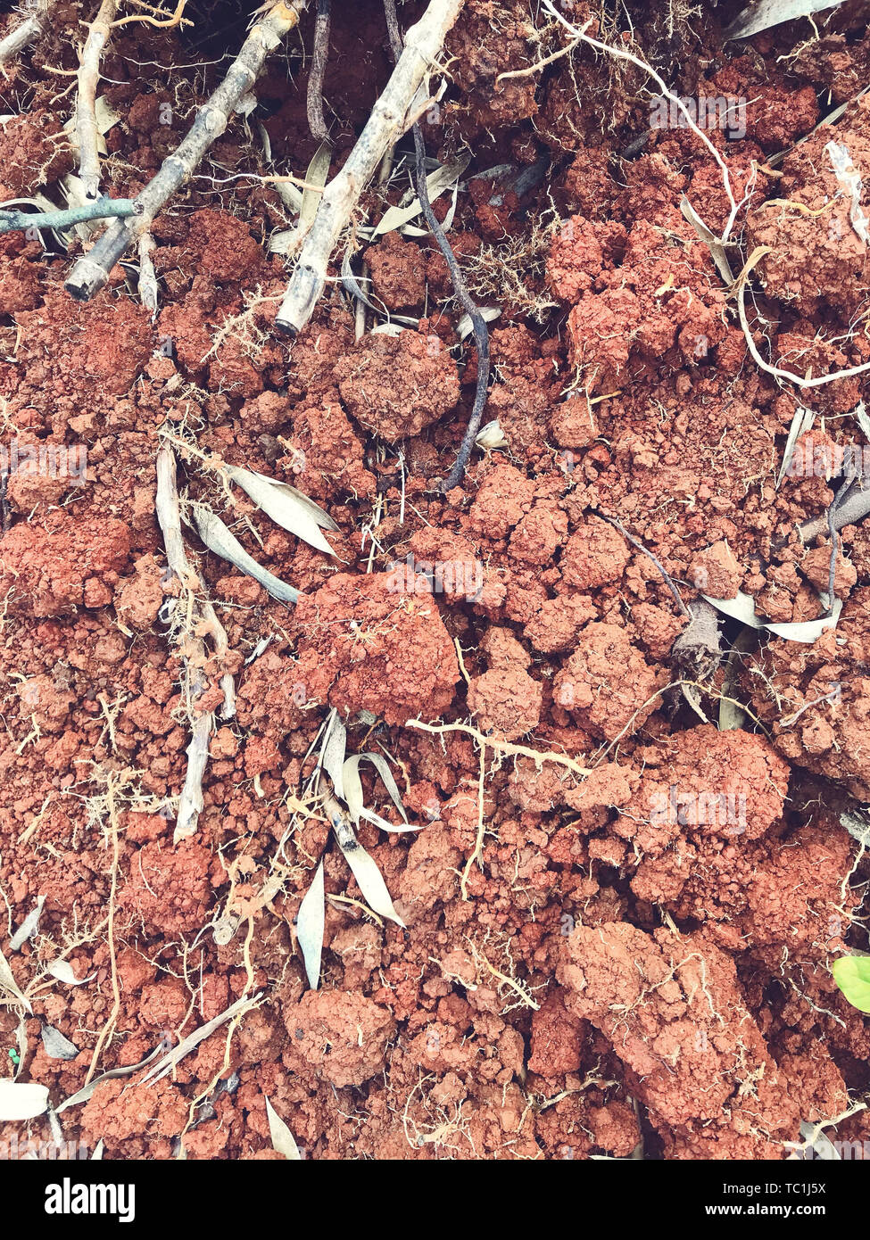 Red soil texture background Stock Photo - Alamy
