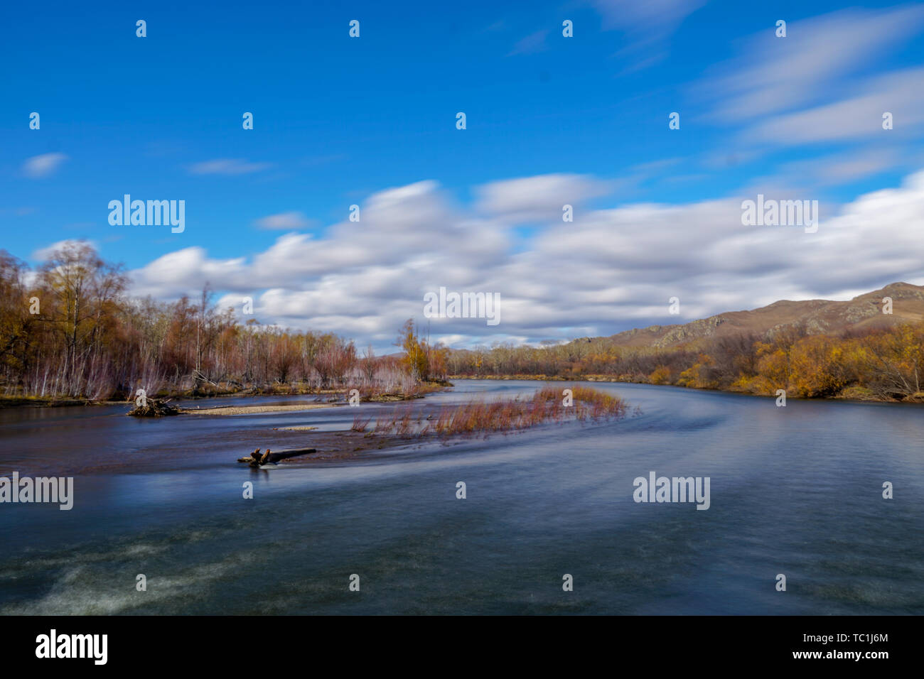 Erguna river and river forest hi-res stock photography and images - Alamy