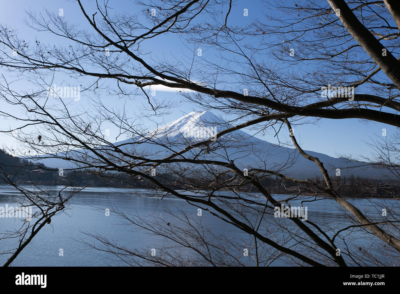 Japan's Mount Fuji estuary lake scenery Stock Photo - Alamy