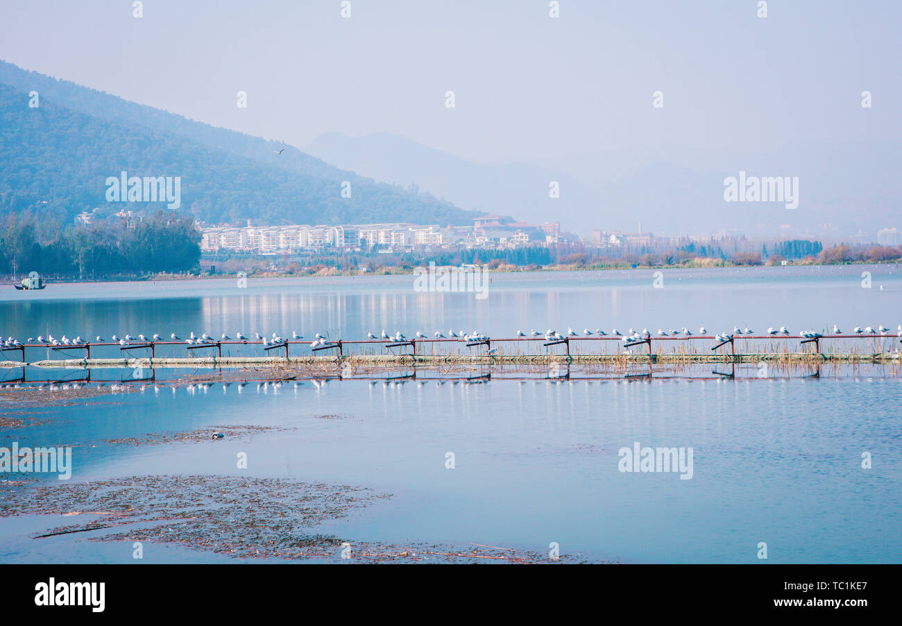 Bay tourism town town summer ships and rivers buildings hi-res stock ...