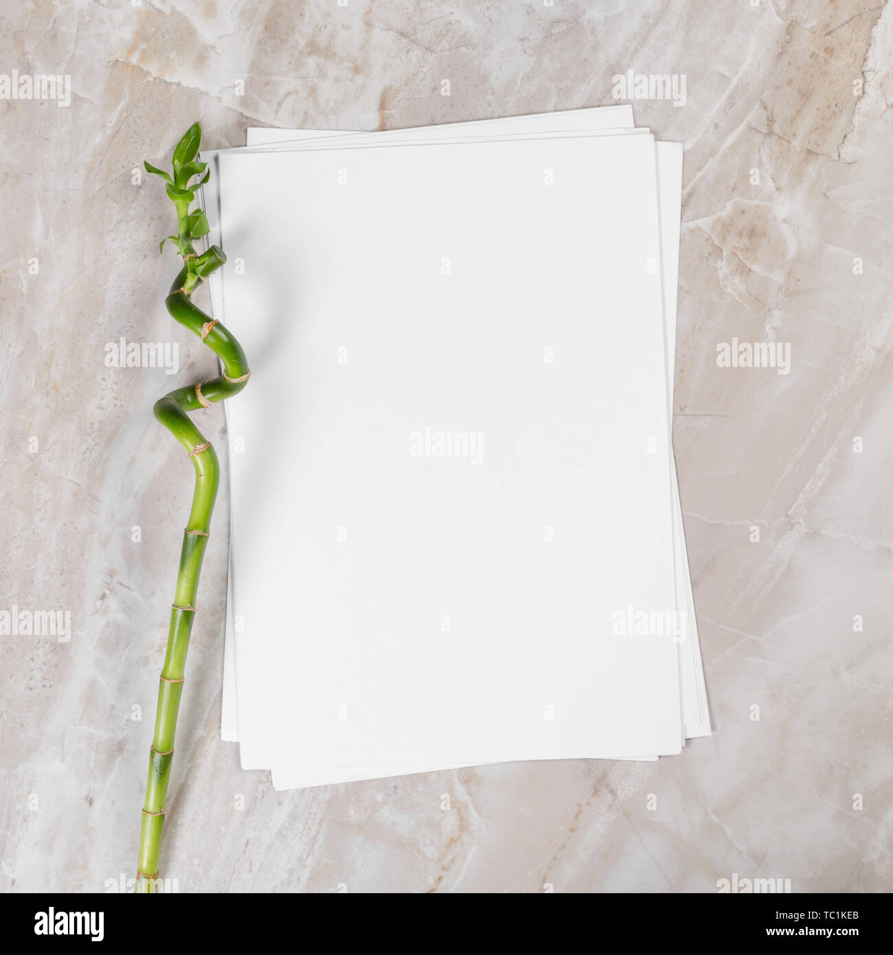 Flat lay design of blank paper Stock Photo - Alamy